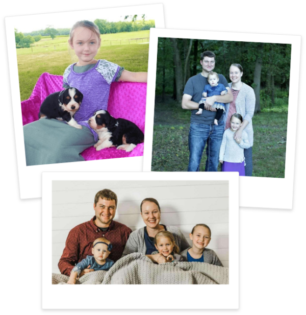 Central Illinois Doodles - Bernedoodle Puppies Illinois